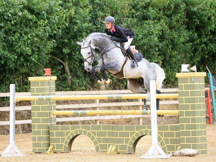 Womanizer - Kylemore Stud - Stallions, Embryo Transfer, Tyson Stallion ...