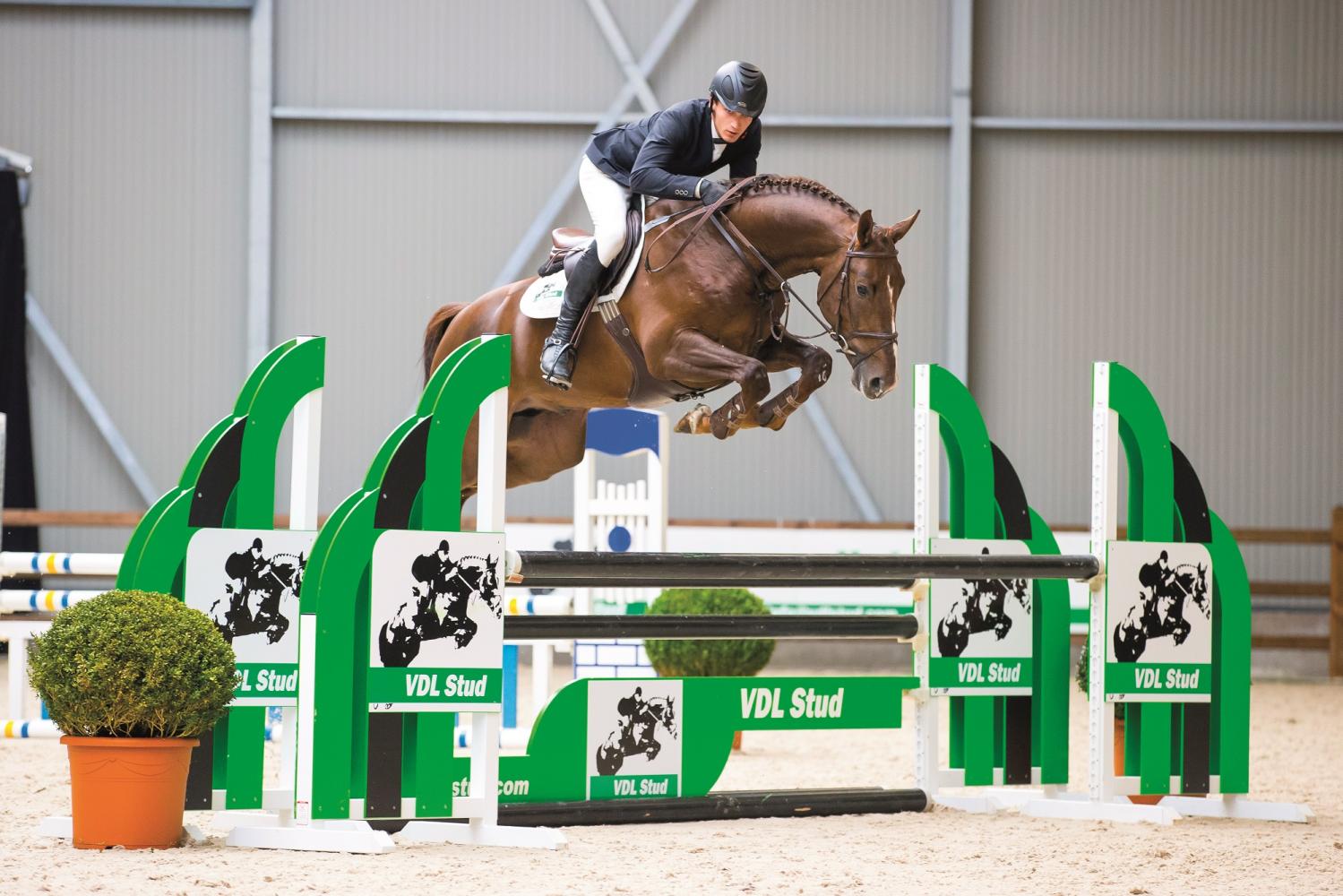 Matrix VDL - Kylemore Stud - Stallions, Embryo Transfer, Tyson Stallion ...