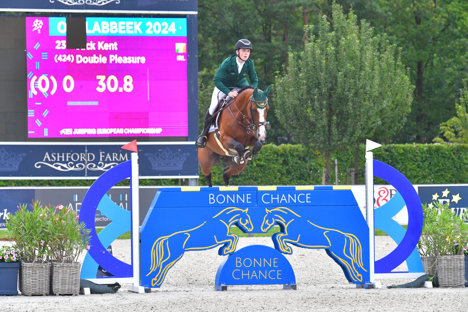 Resident Stallions | Stallions Ireland | Irish Stud Farm | Kylmore Stud